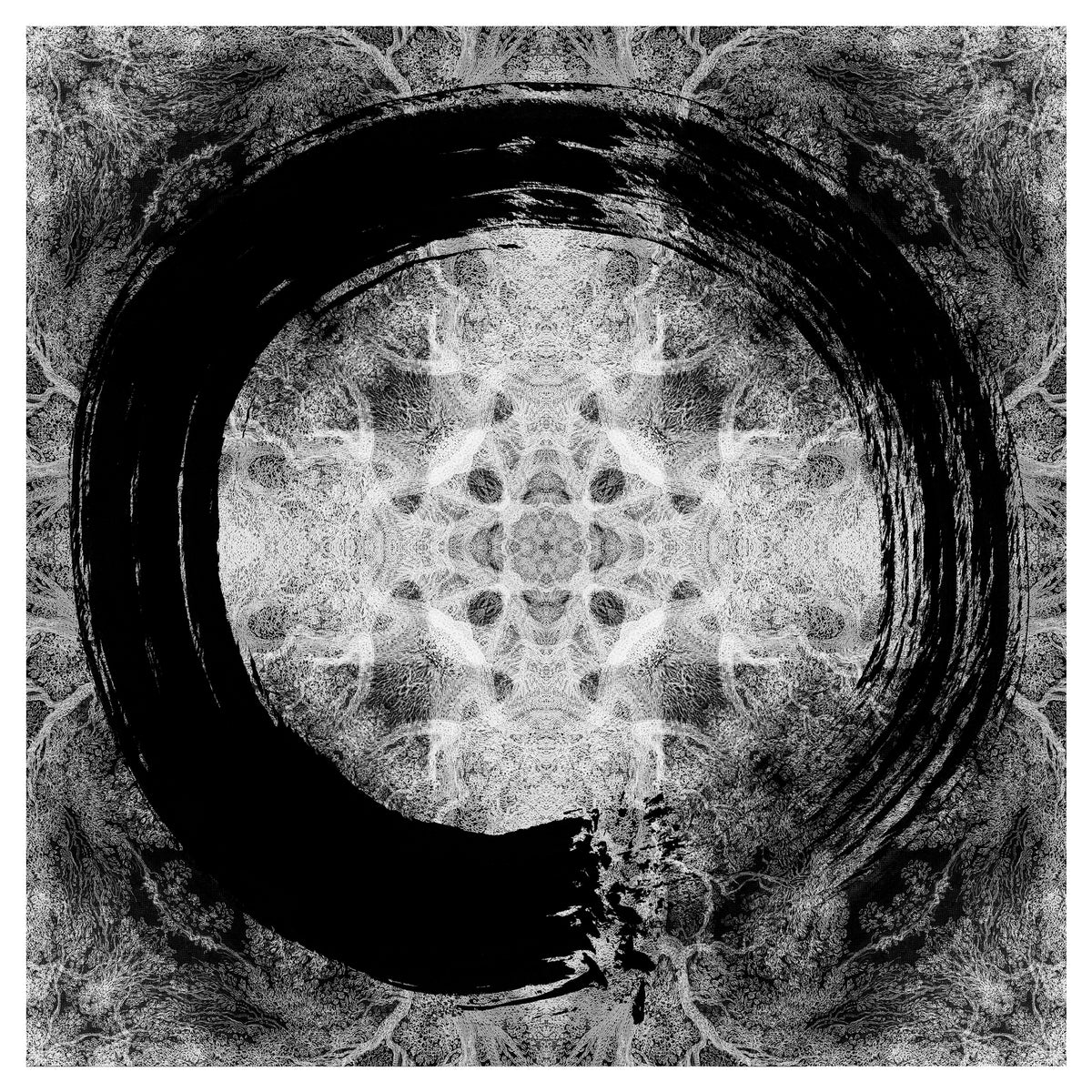 Dan Hillier